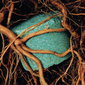 Agriform Planting Tablets - Merchant’s Garden