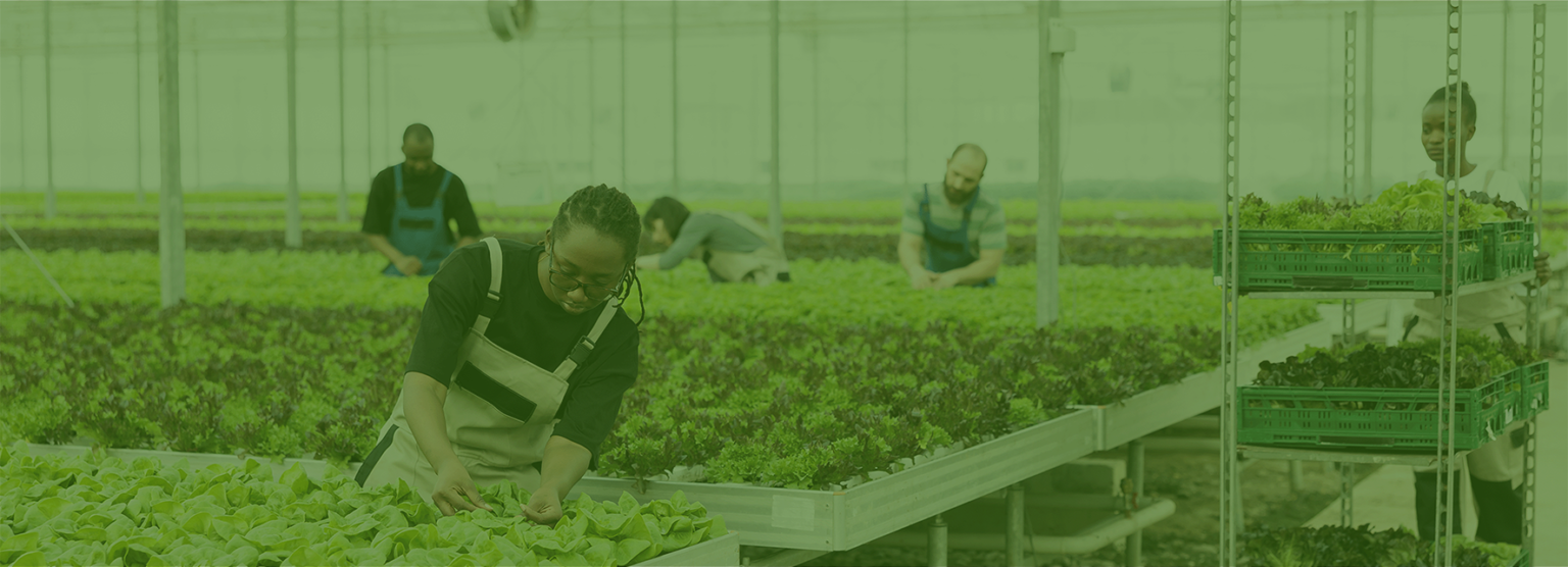 Plant Database - Merchant’s Garden