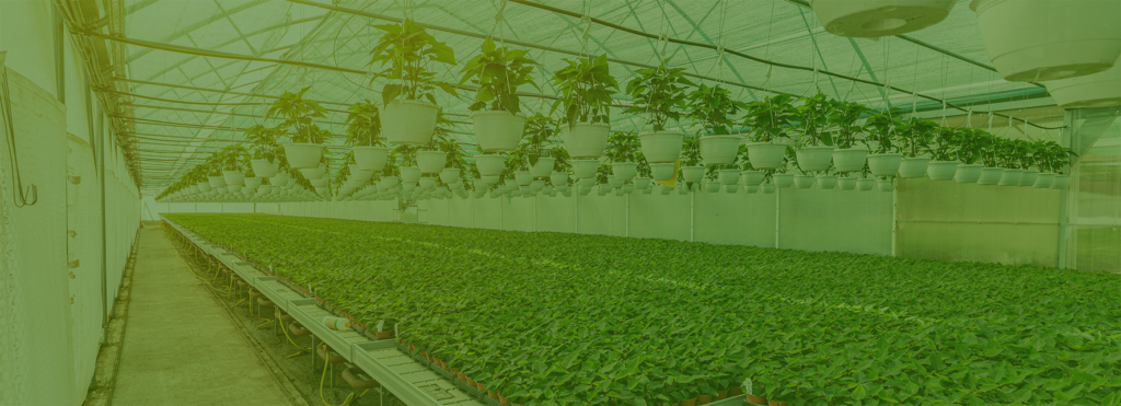 Retail Locations - Merchant’s Garden